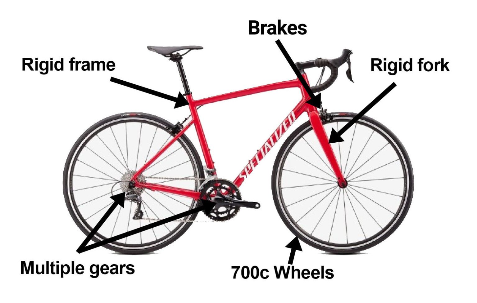 What Is a Hybrid Bike? | Read This Before Going Hybrid