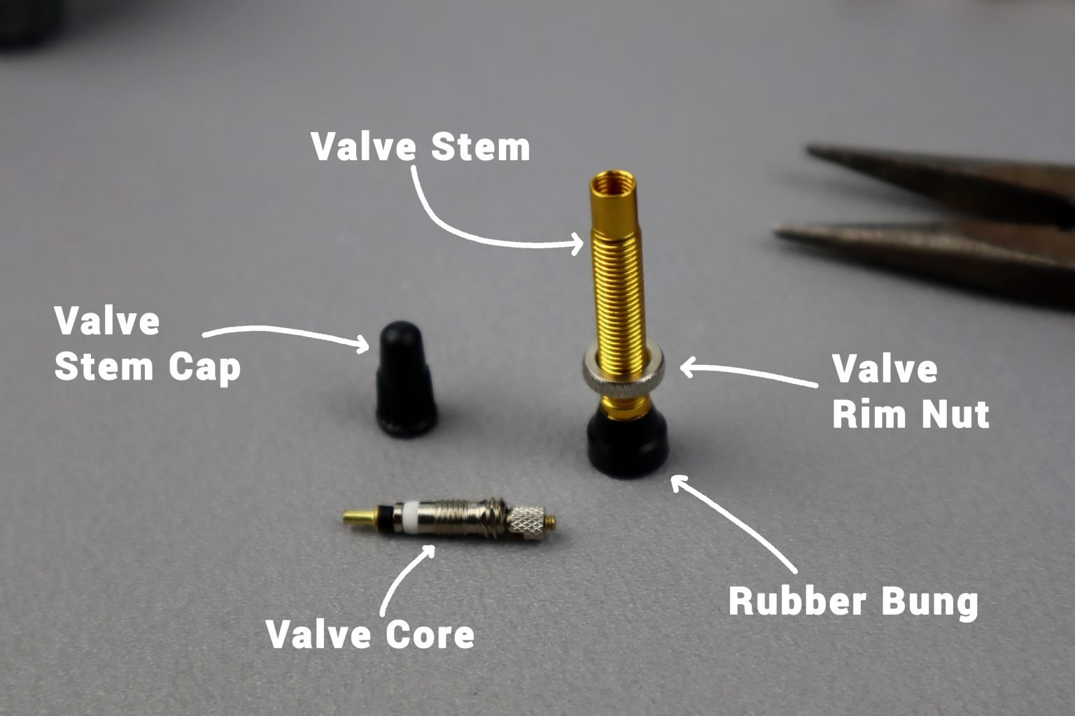 Bike Tire Valve Types Explained | Presta vs Schrader & More!