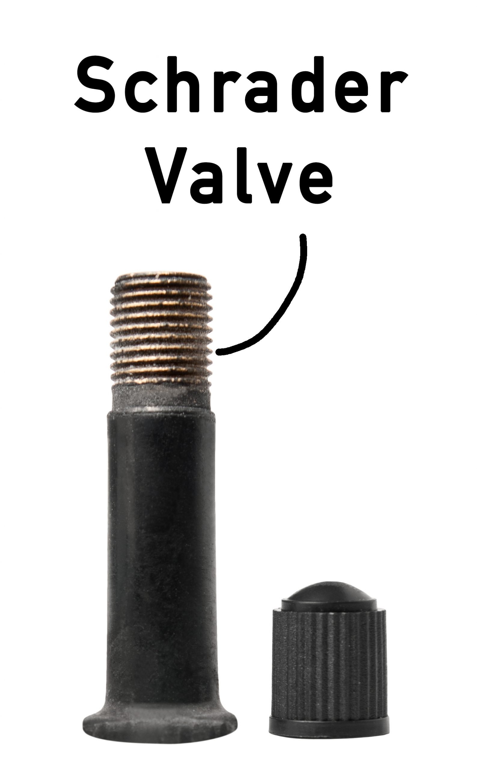 Are Valve Caps Really Necessary? Bike & Car Tire Dust Caps