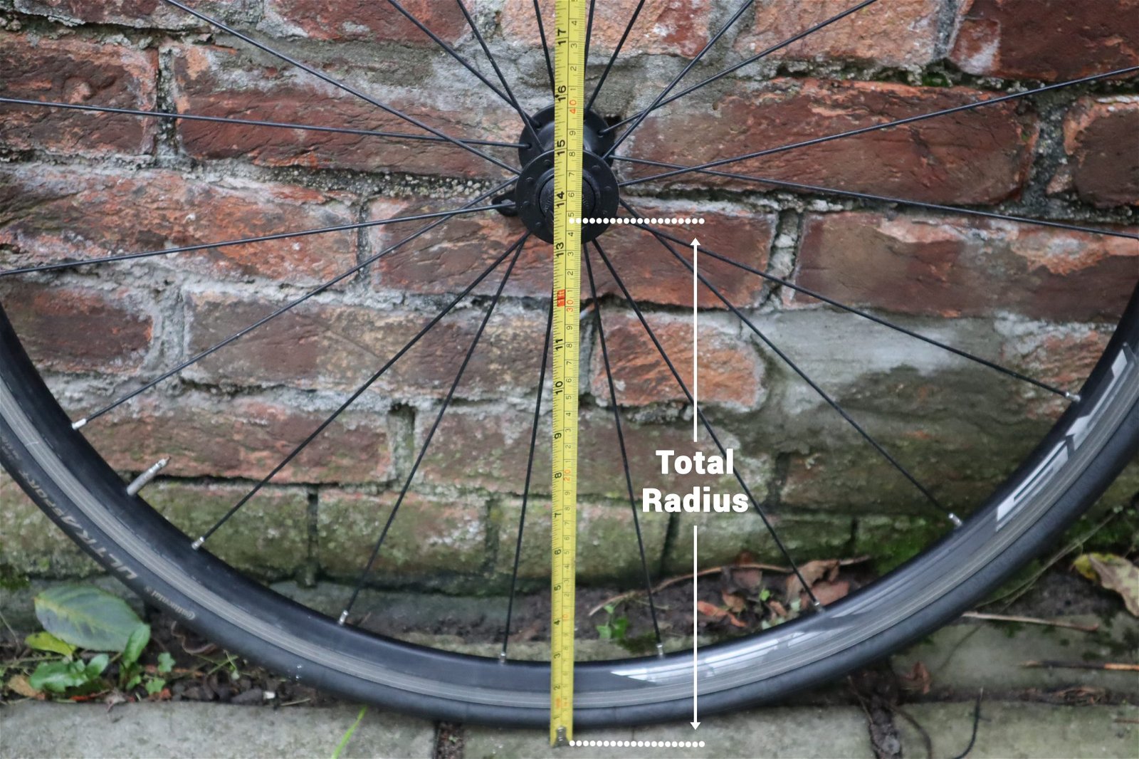 How to Measure Bike Tire & Wheel Circumference | Quick Steps